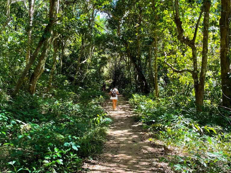 Concepcion Falls: Everything You Need to Know 2026